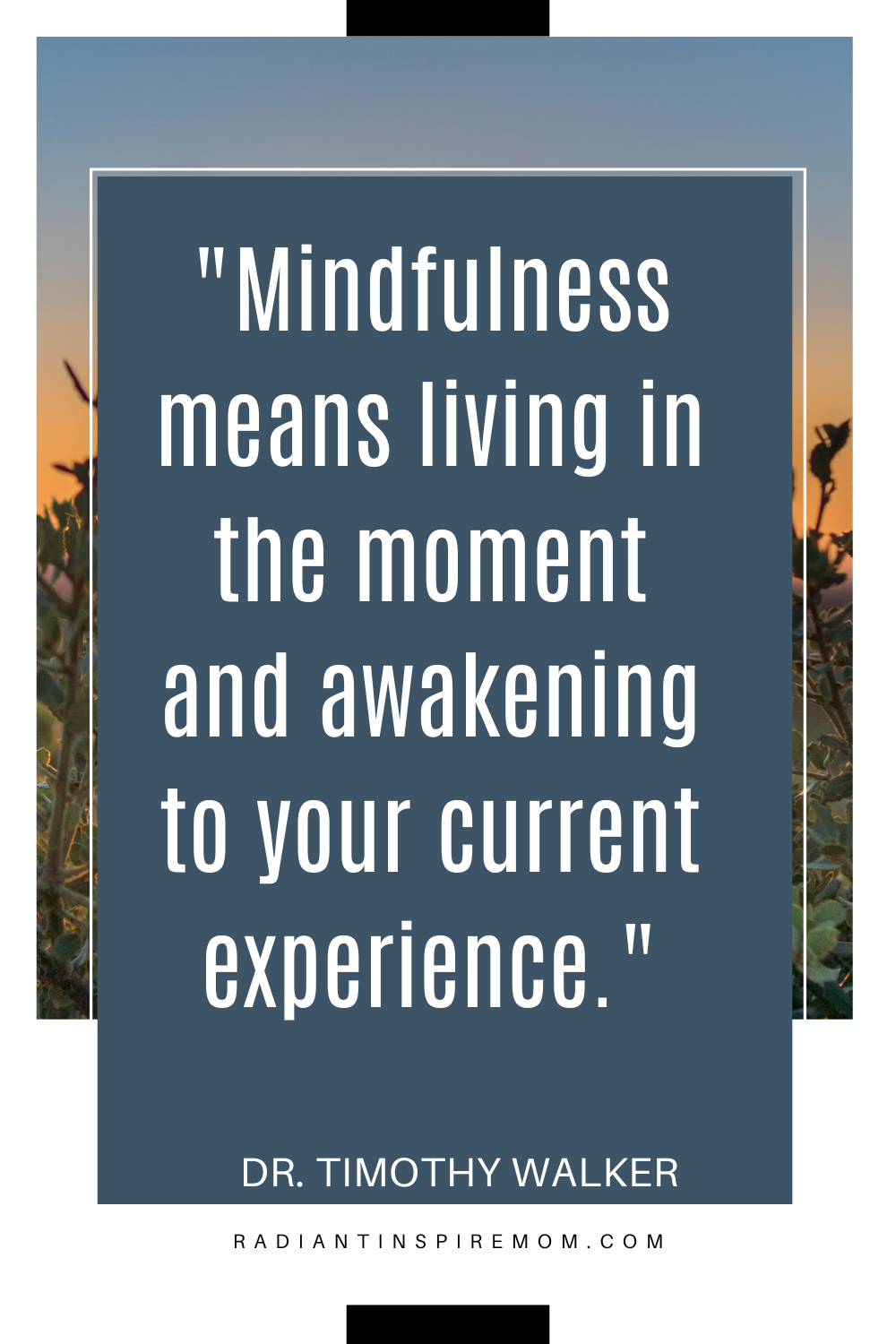 71 Mindfulness Quotes to Inspire Clarity and Peace - Radiant Inspire Mom